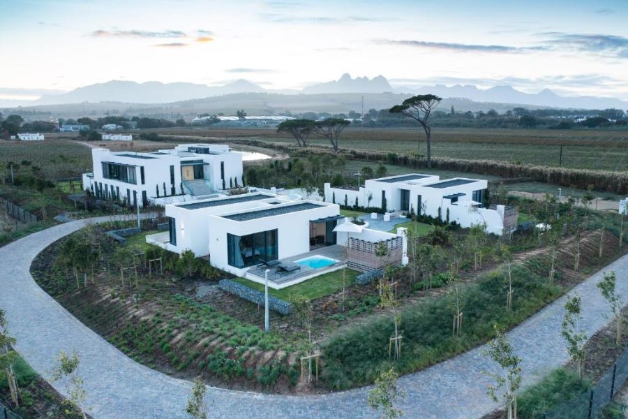 Vergenoegd Löw Estate | A new feather in the cap on Stellenbosch Wine Route