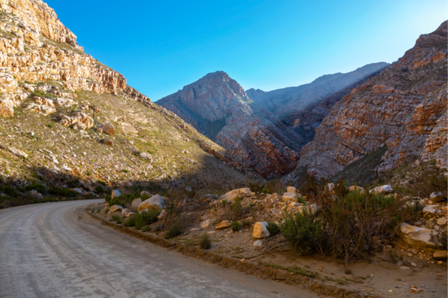 Put the “Tour” in Tourist | Quintessential South African Road Trips