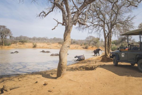 Jabulani Safari | A Family Affair