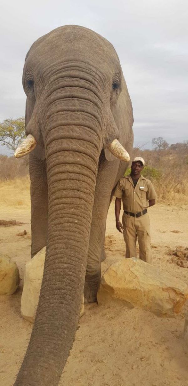 Jabulani Safari | A Family Affair