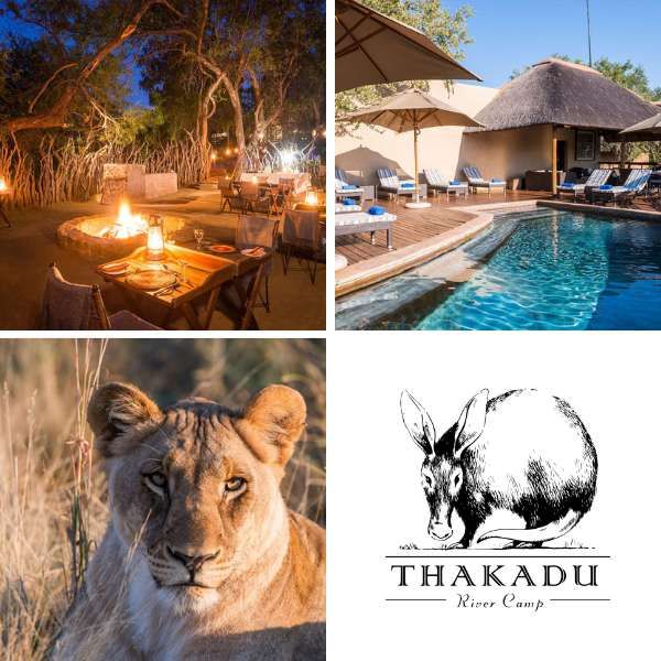Journey of Wanderlust: Secret Getaway's 7-Year Celebration with 7 ...